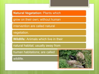 Natural vegetation and Wildlife - Class VIII | PPTX