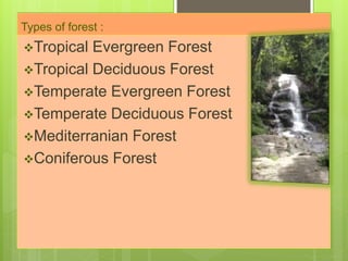 Natural vegetation and Wildlife - Class VIII | PPTX