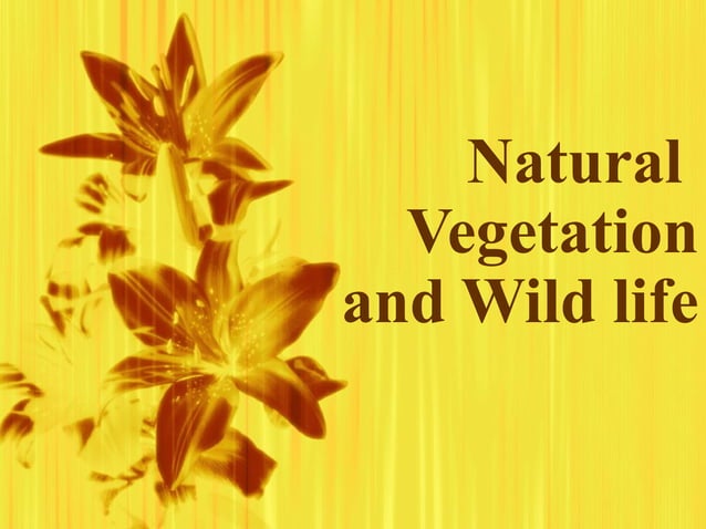 natural vegetation PPT final presentation with necessary details | PPT