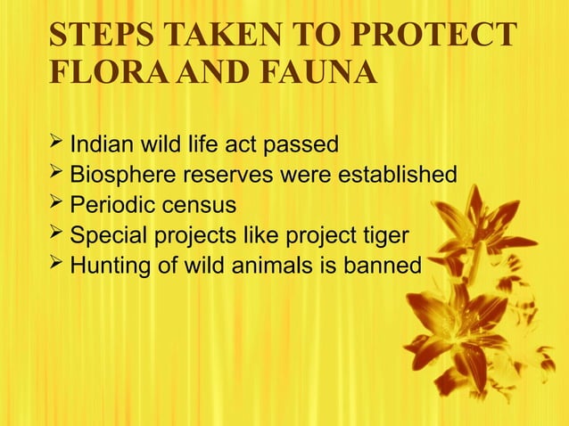 natural vegetation PPT final presentation with necessary details | PPT