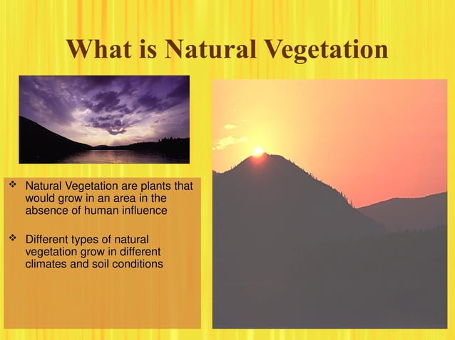 natural vegetation PPT final presentation with necessary details | PPT