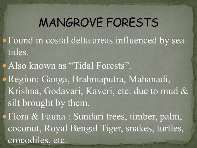Natural vegetation & wildlife | PPT