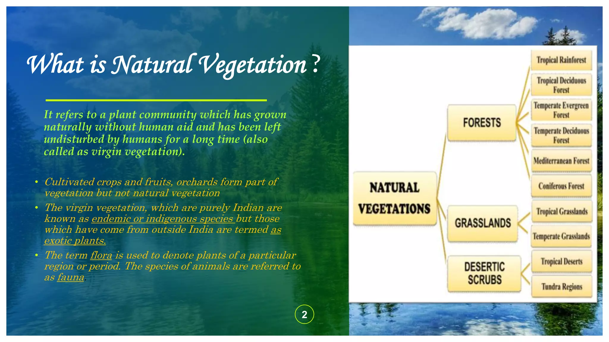 Natural vegetation & wild life | PPTX