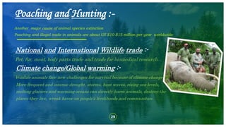 Natural vegetation & wild life | PPTX