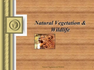 naturalvegetationwildlife.ppt