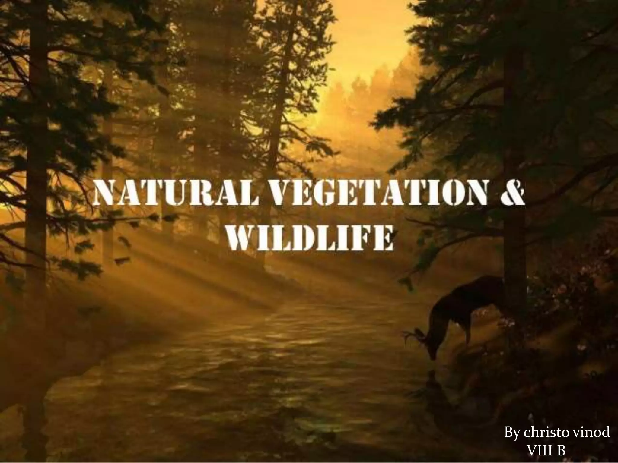 Natural vegitation and wildlife | PPTX