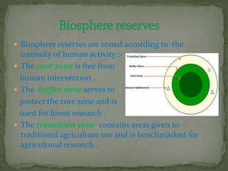 Natural vegitation and wildlife | PPTX
