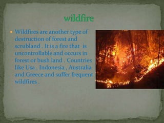 Natural vegitation and wildlife | PPTX