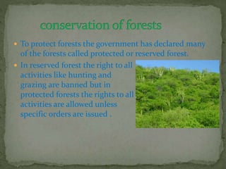 Natural vegitation and wildlife | PPTX