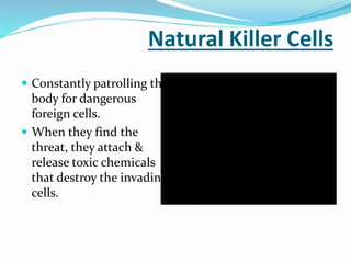 Natural Way To Strengthen the Immune System | PPTX