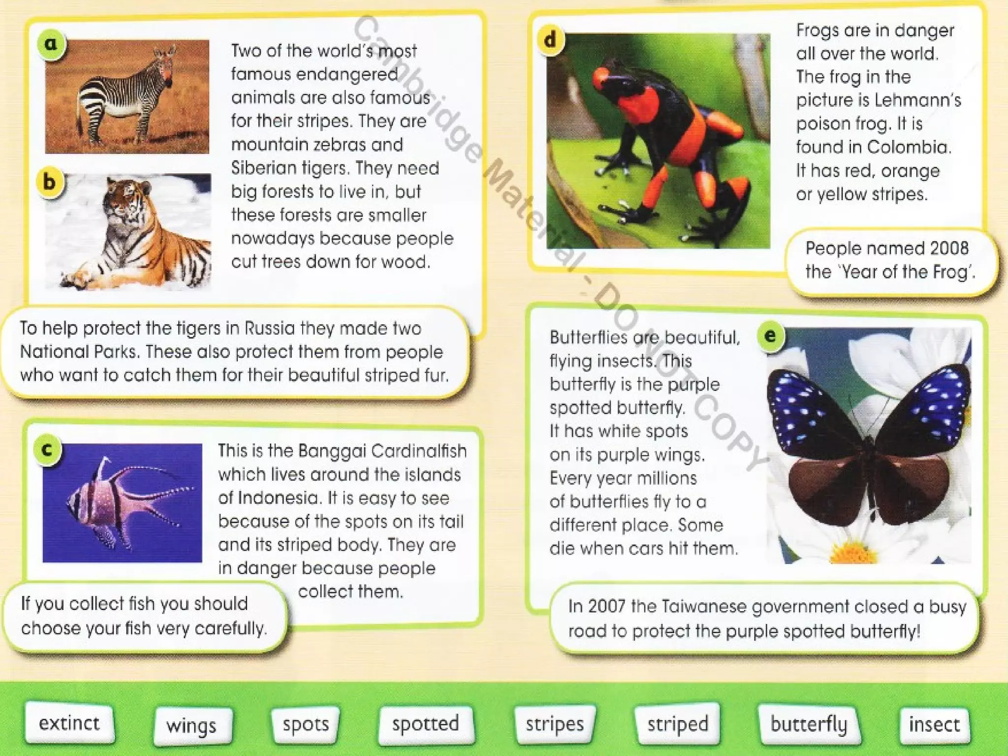 Natural world | PPT