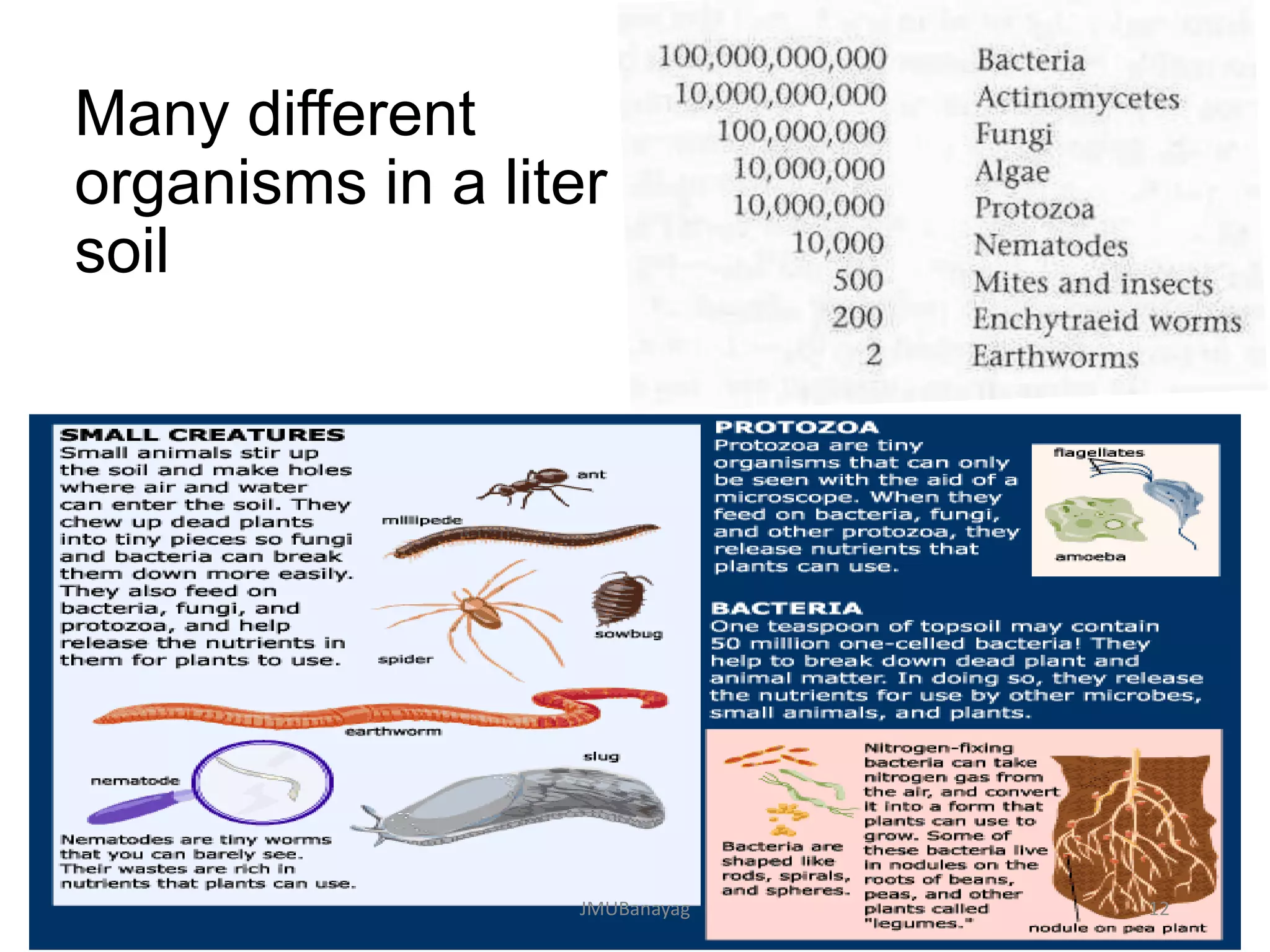 Organic Concoctions and Extracts | PDF