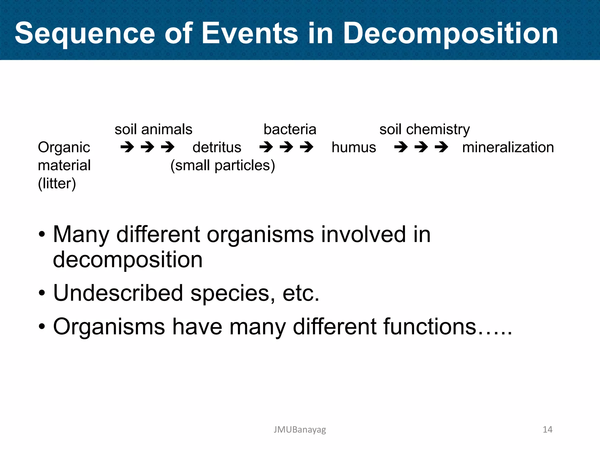 Organic Concoctions and Extracts | PDF