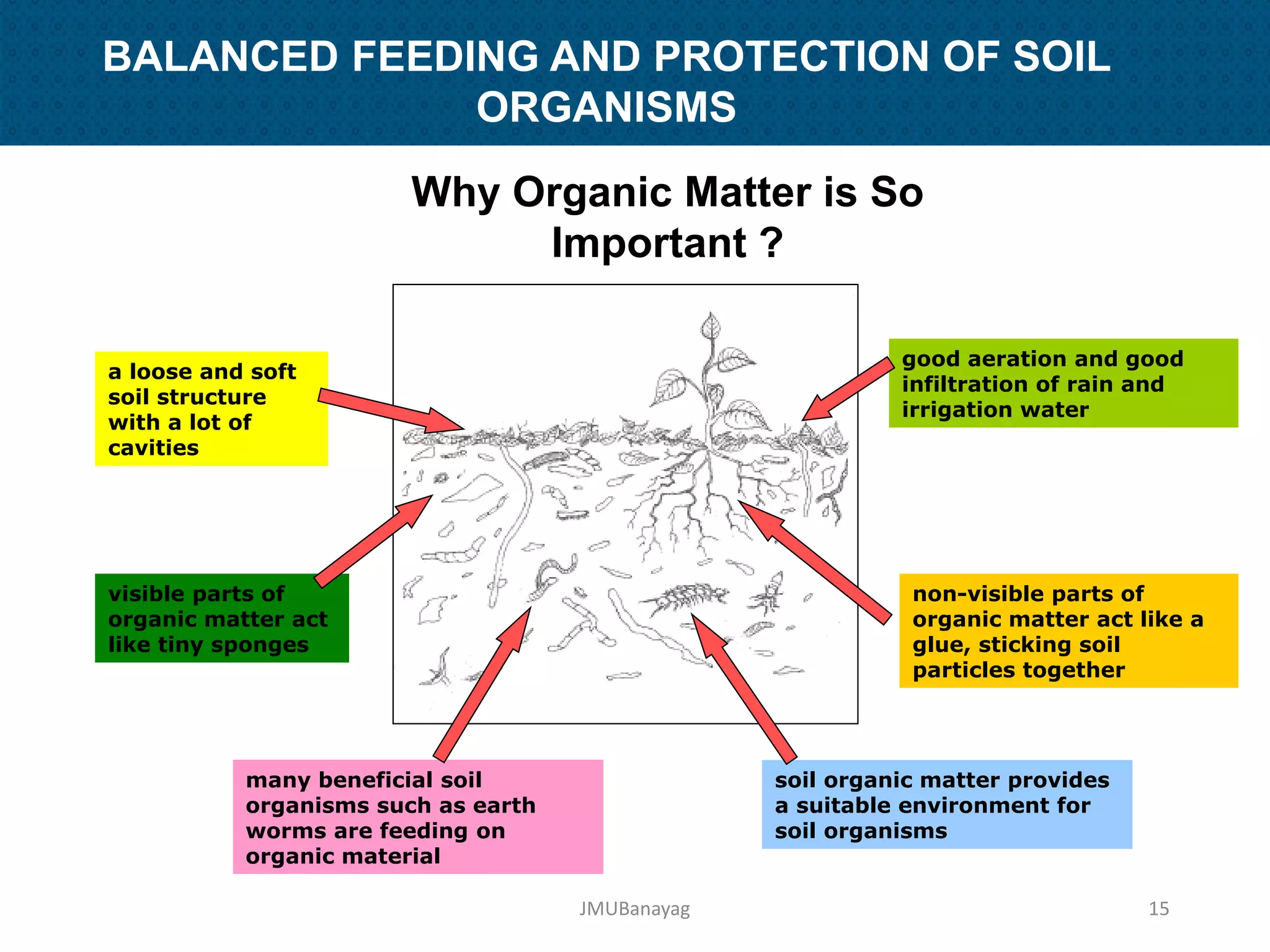 Organic Concoctions and Extracts | PDF