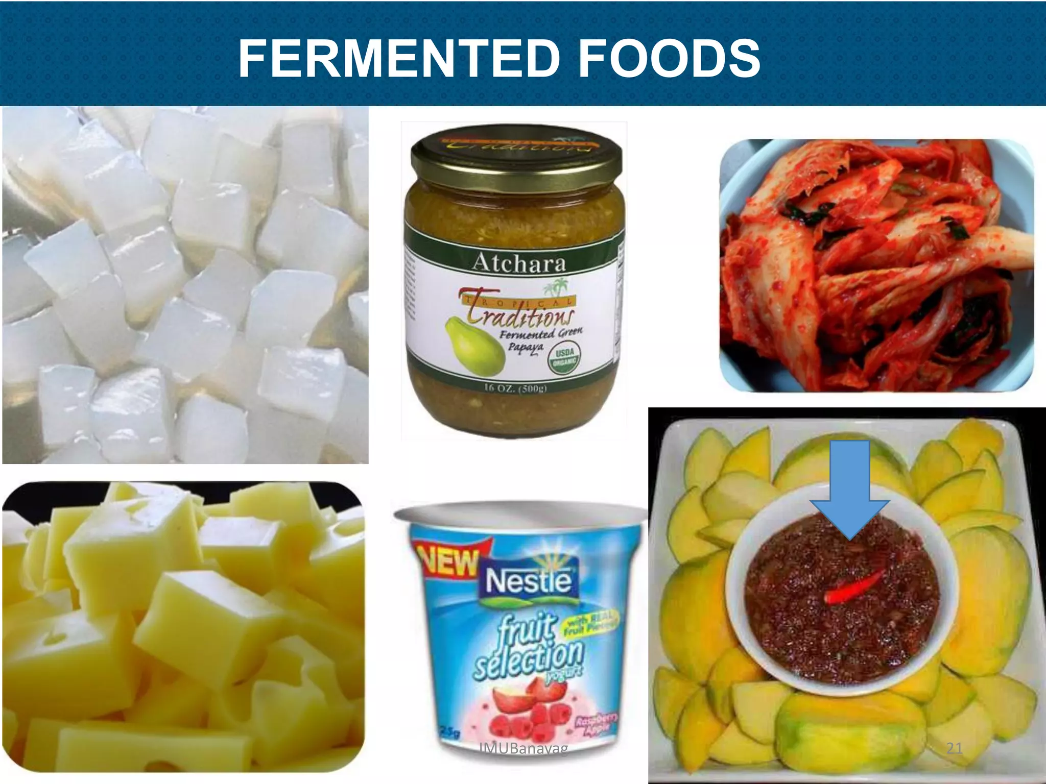 Organic Concoctions and Extracts | PDF