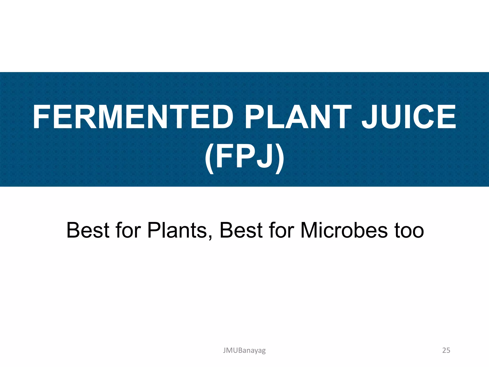 Organic Concoctions and Extracts | PDF