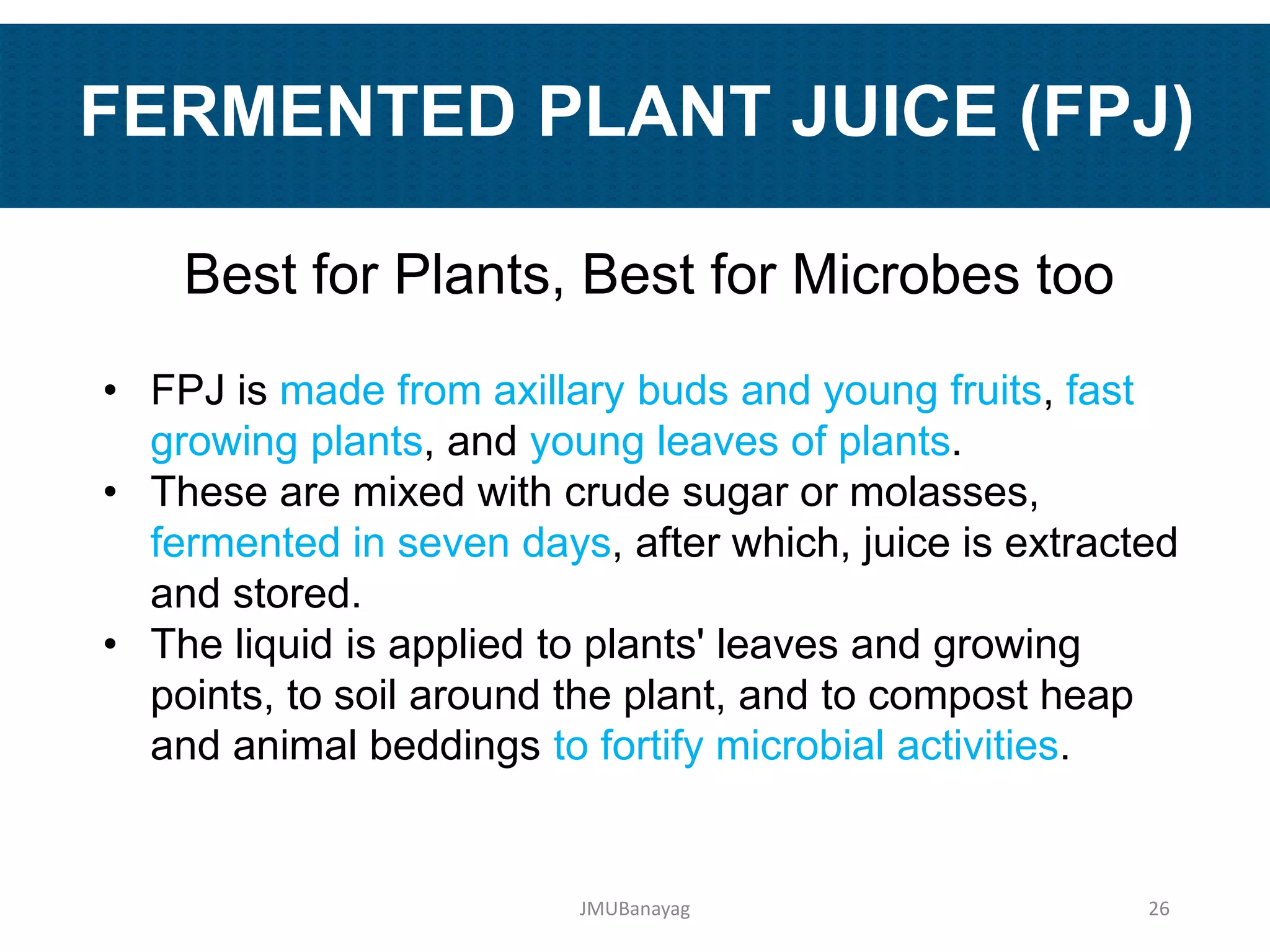 Organic Concoctions and Extracts | PDF