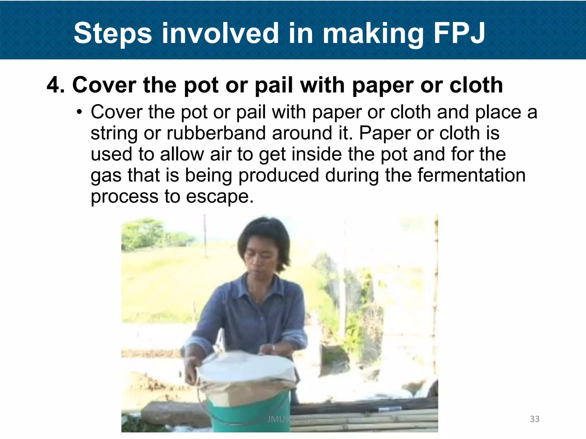 Organic Concoctions and Extracts | PDF