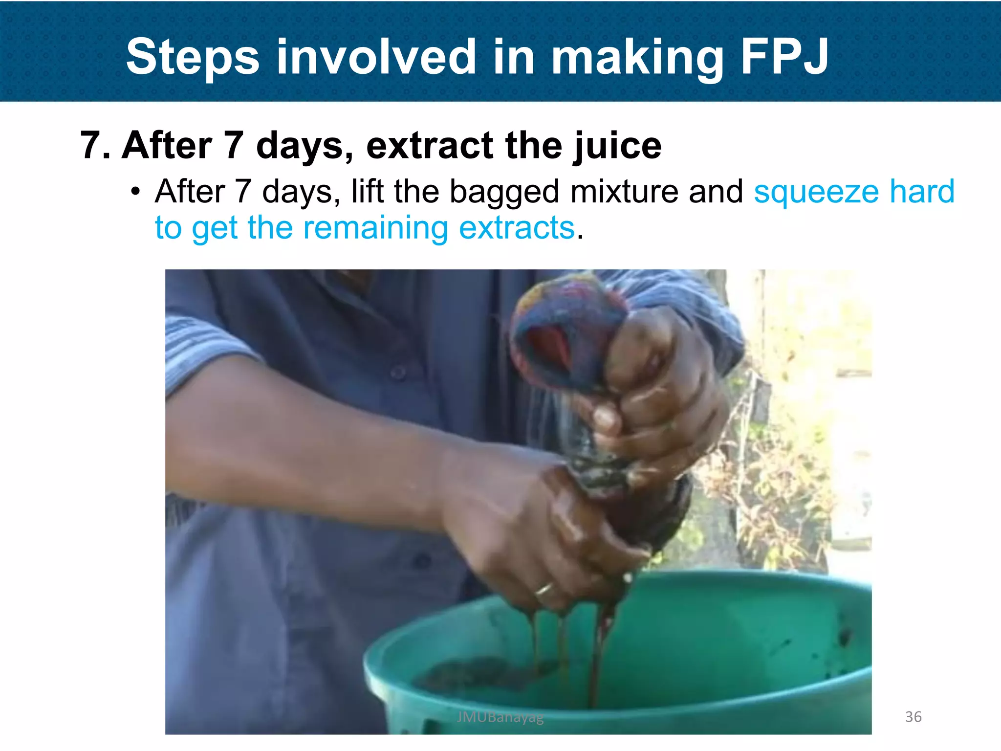 Organic Concoctions and Extracts | PDF