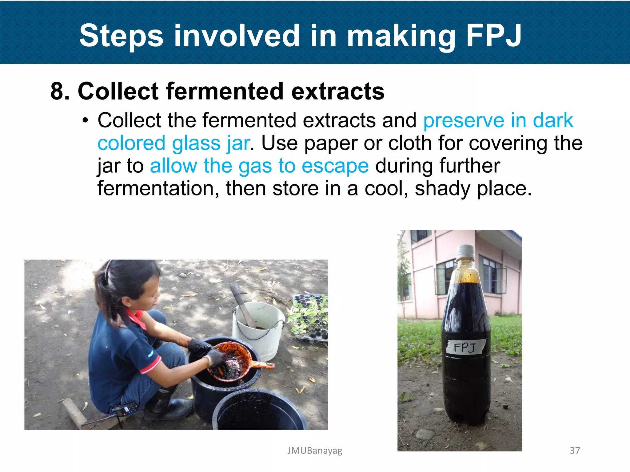 Organic Concoctions and Extracts | PDF