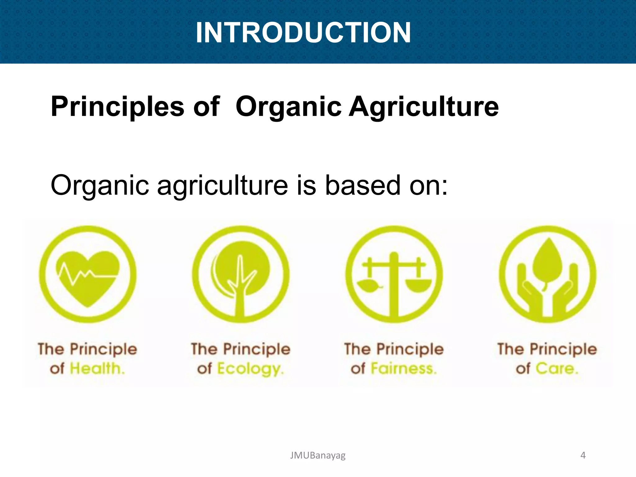Organic Concoctions and Extracts | PDF