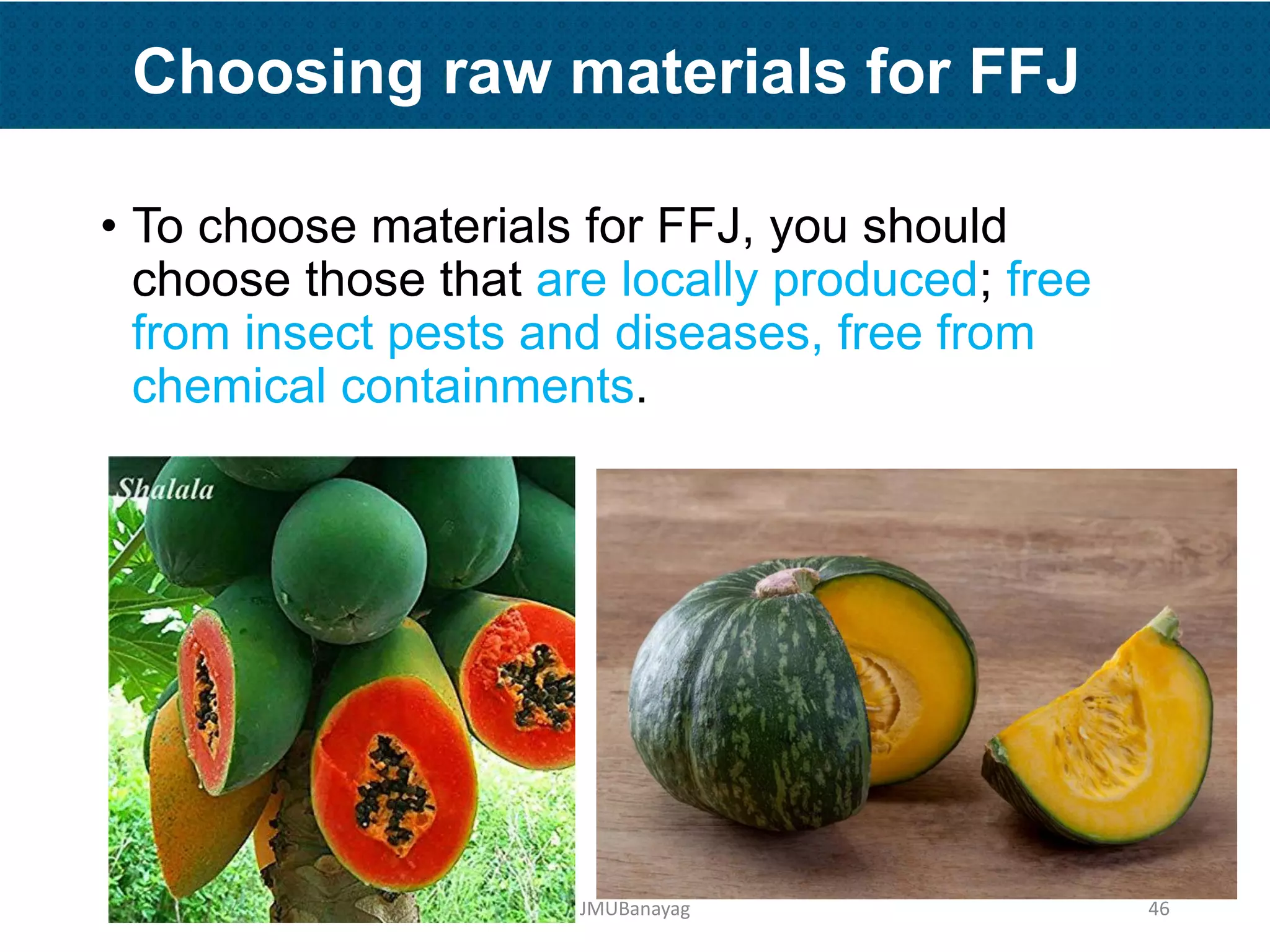 Organic Concoctions and Extracts | PDF