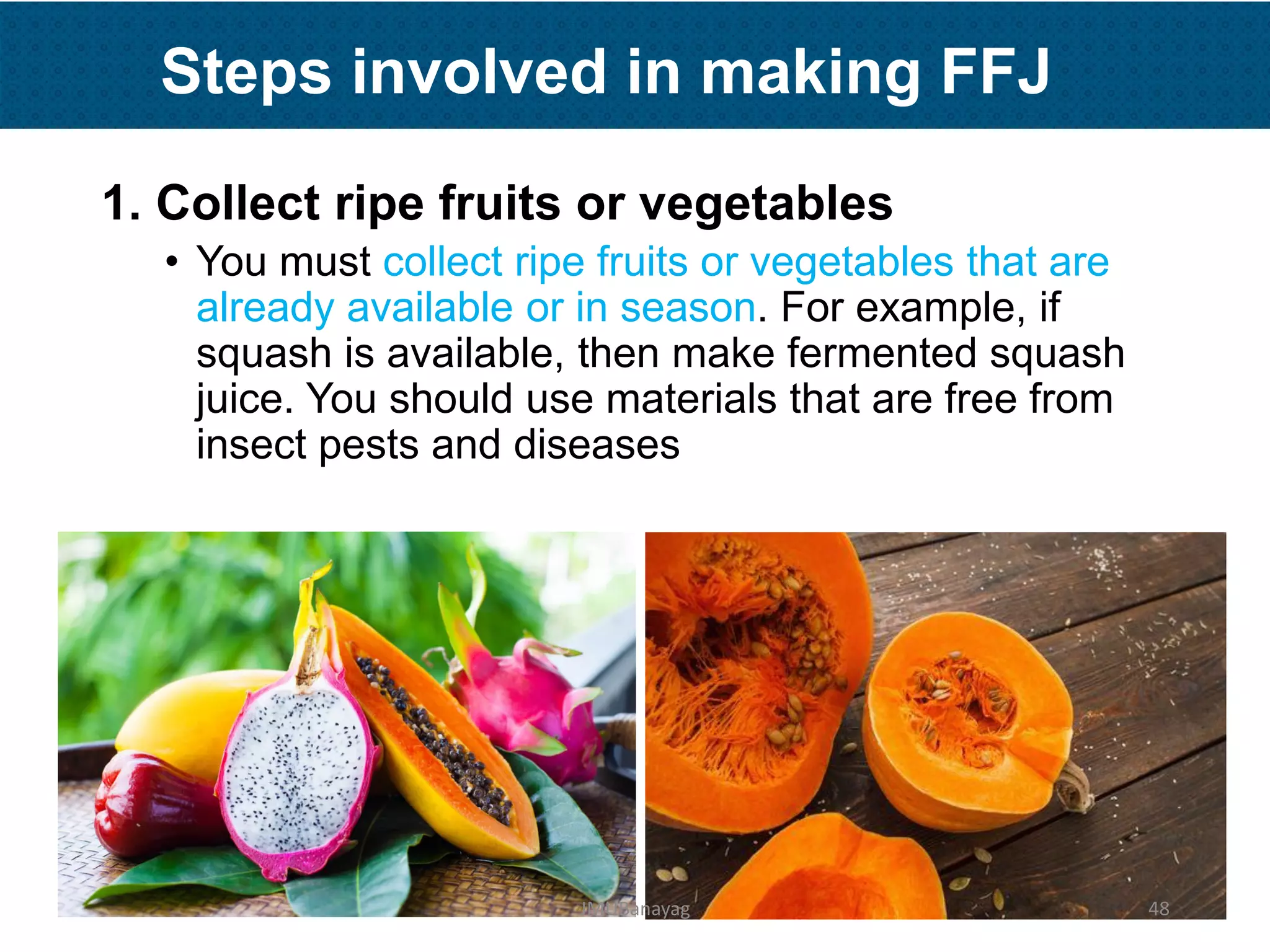 Organic Concoctions and Extracts | PDF