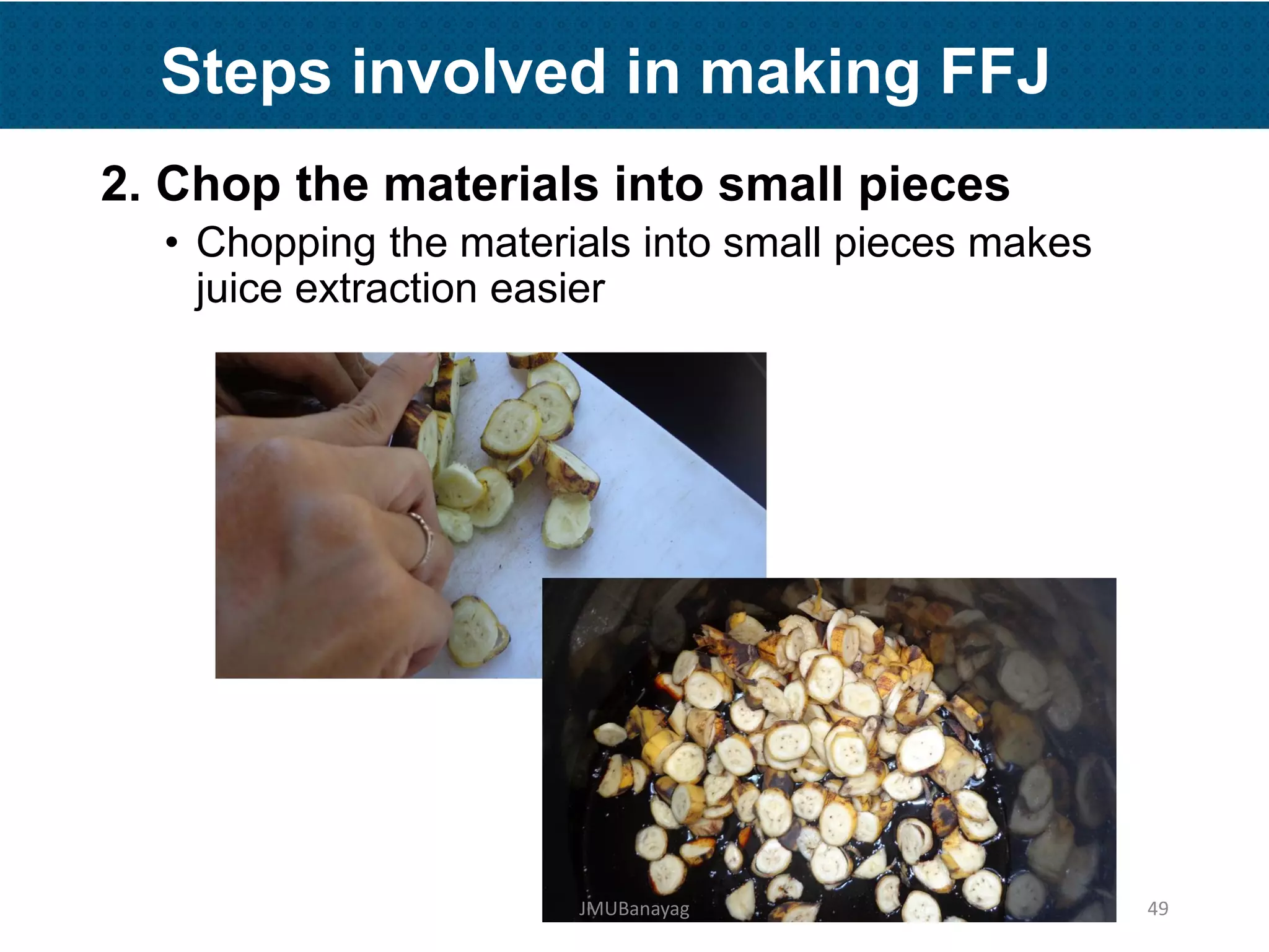 Organic Concoctions and Extracts | PDF