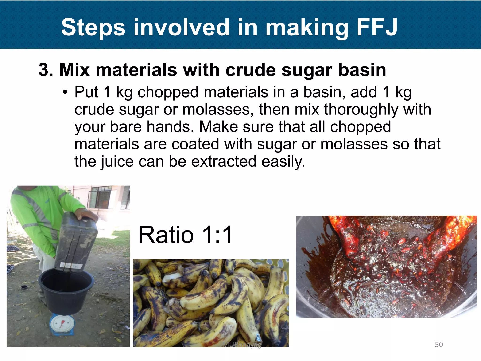 Organic Concoctions and Extracts | PDF