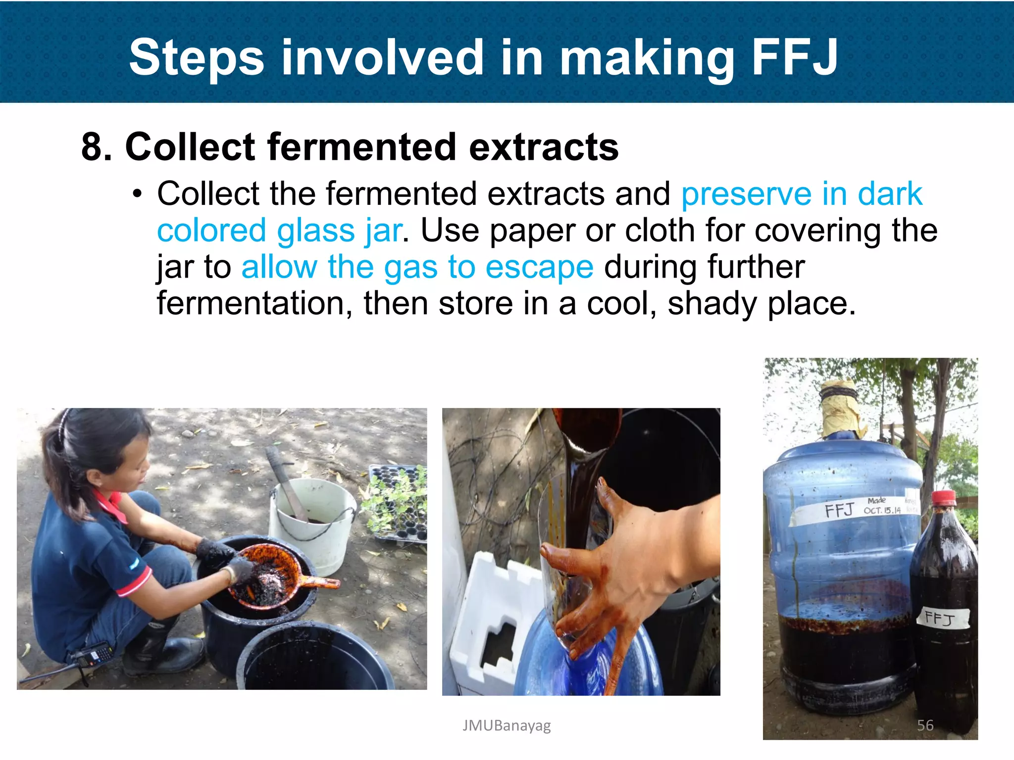 Organic Concoctions and Extracts | PDF