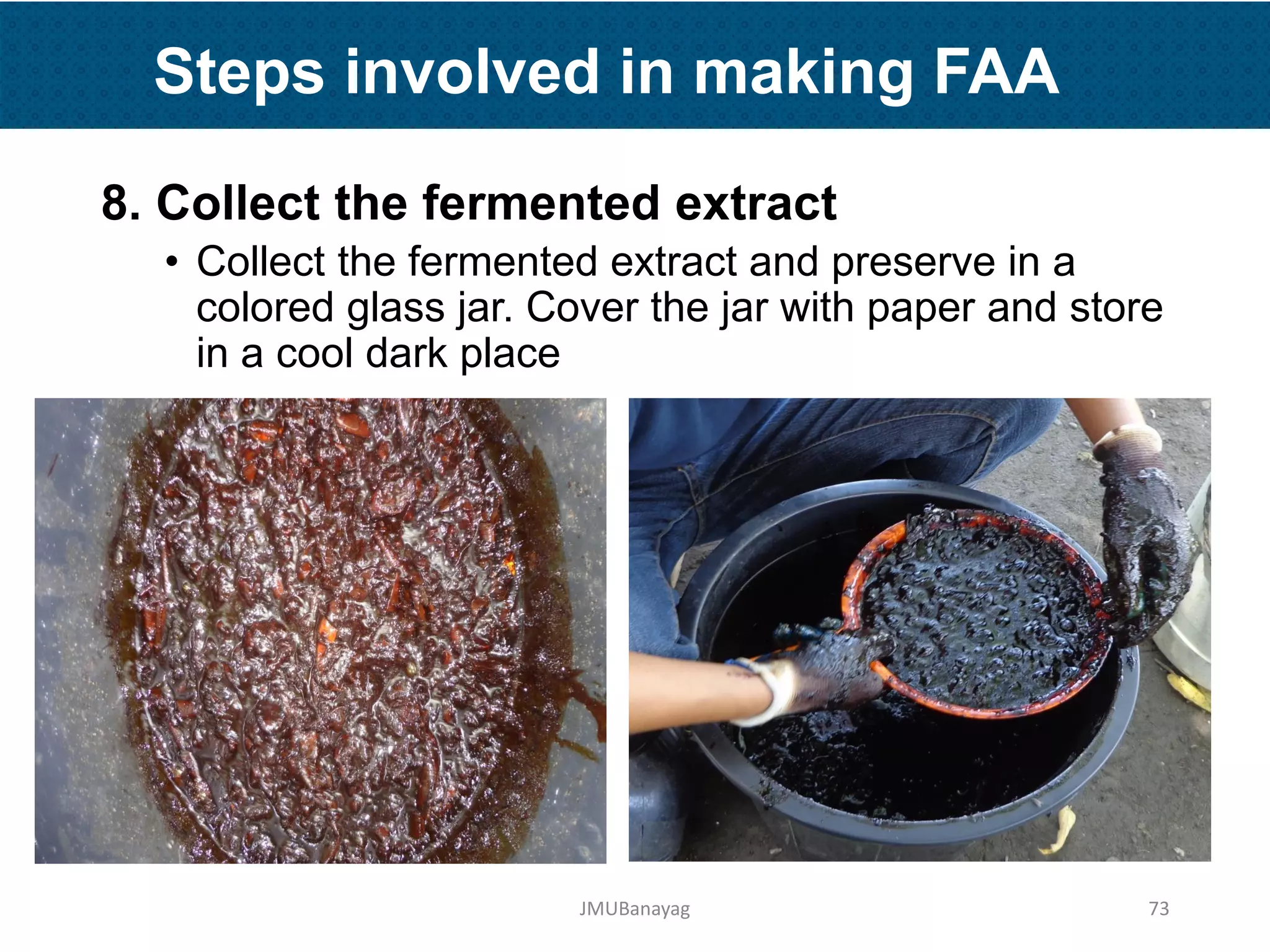 Organic Concoctions and Extracts | PDF