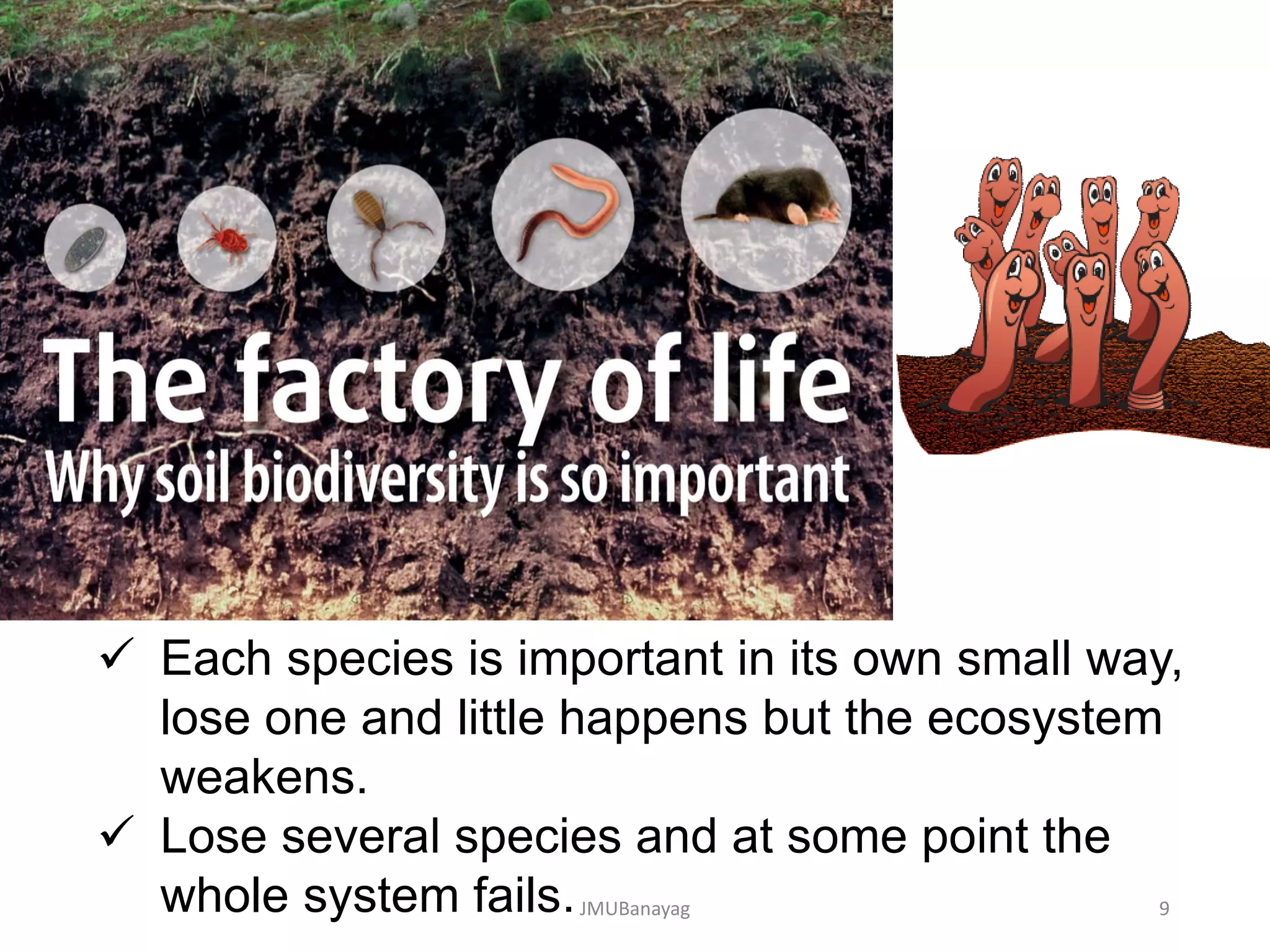 Organic Concoctions and Extracts | PDF