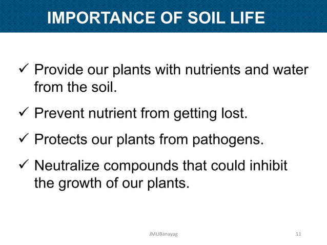 Organic Concoctions and Extracts | PDF