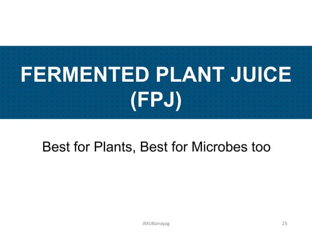 Organic Concoctions and Extracts | PDF