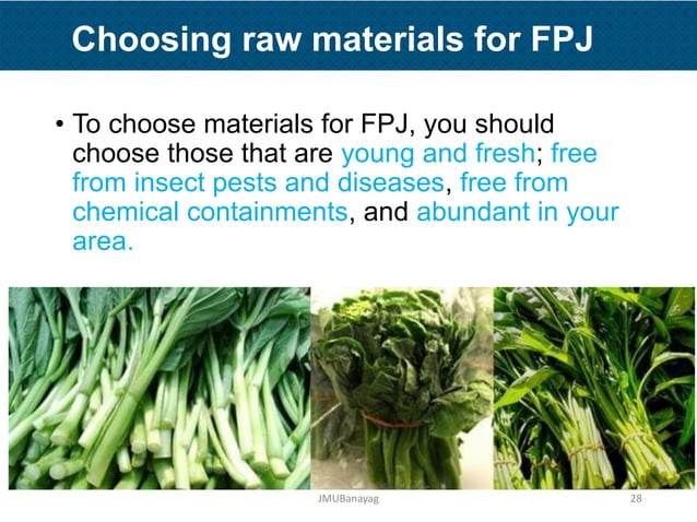 Organic Concoctions and Extracts | PDF