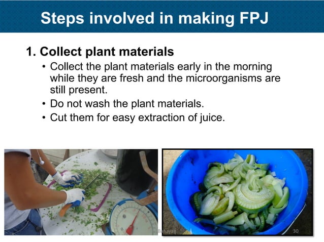 Organic Concoctions and Extracts | PDF