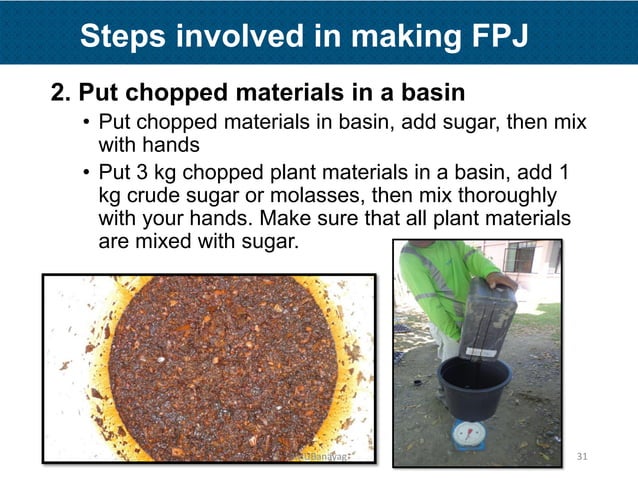 Organic Concoctions and Extracts | PDF