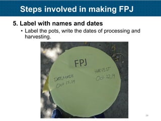 Organic Concoctions and Extracts | PDF