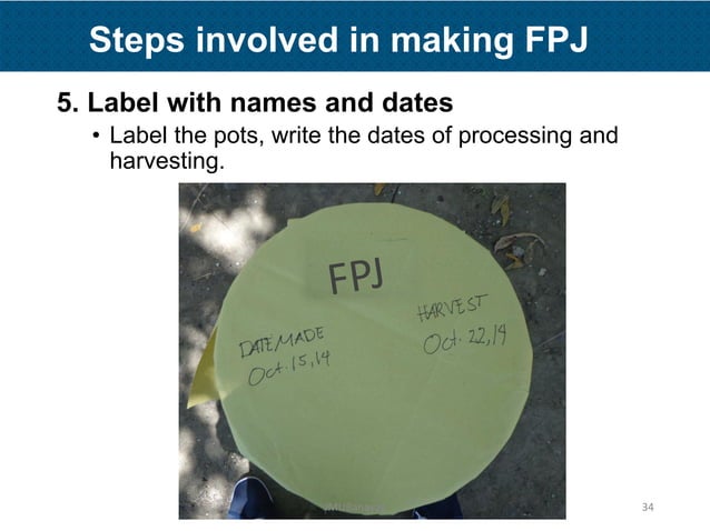 Organic Concoctions and Extracts | PDF