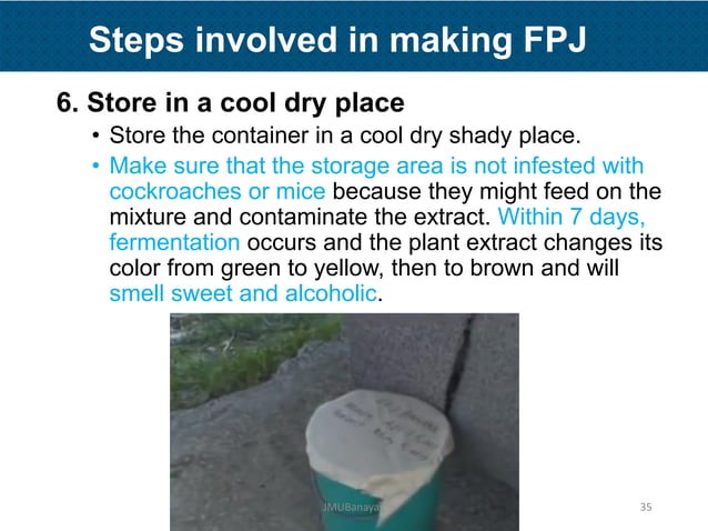 Organic Concoctions and Extracts | PDF