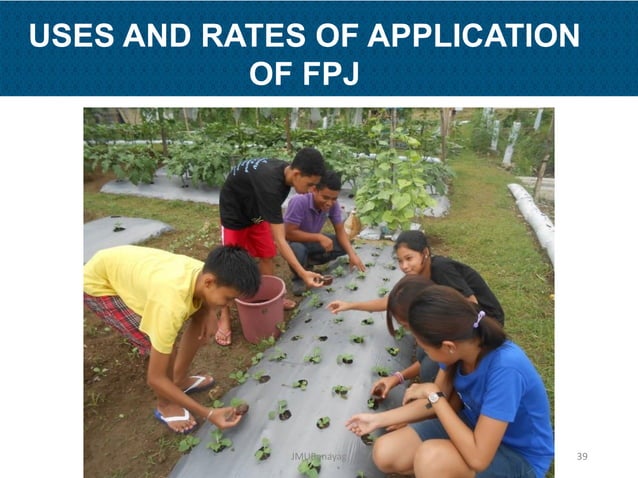 Organic Concoctions and Extracts | PDF