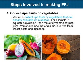 Organic Concoctions and Extracts | PDF