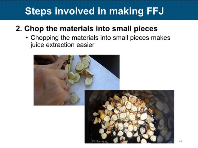 Organic Concoctions and Extracts | PDF