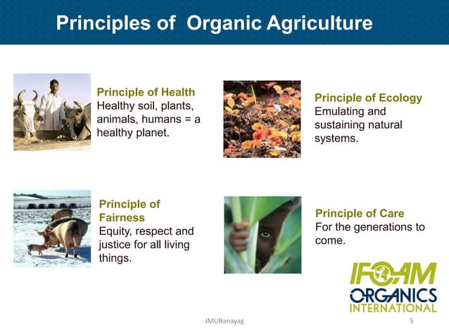 Organic Concoctions and Extracts | PDF