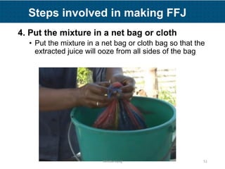 Organic Concoctions and Extracts | PDF