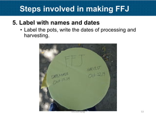 Organic Concoctions and Extracts | PDF