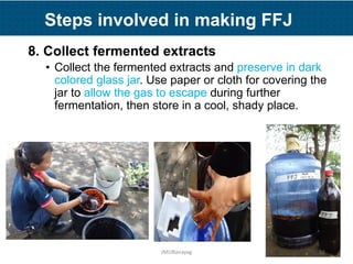 Organic Concoctions and Extracts | PDF