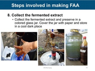 Organic Concoctions and Extracts | PDF