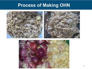 Organic Concoctions and Extracts | PDF