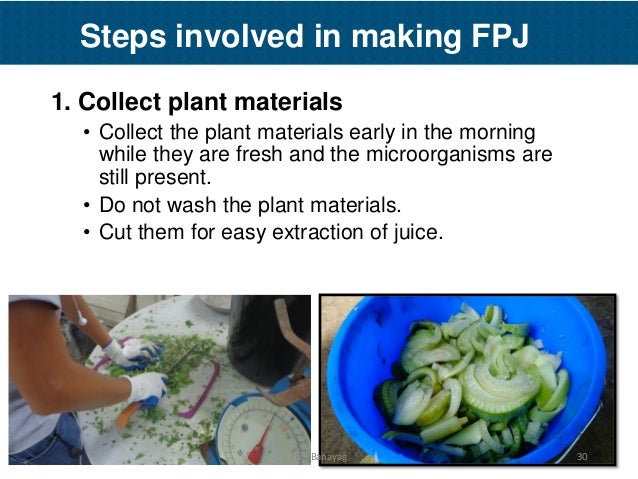 Organic Concoctions and Extracts